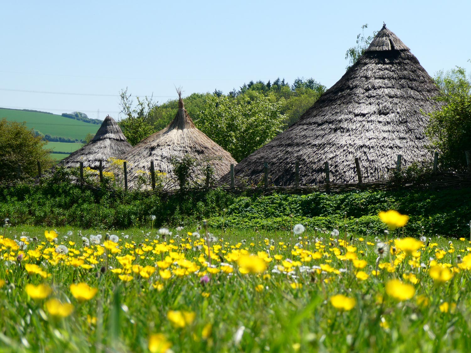 Butser Ancient Farm To Reopen As New Goat Kids Are Born - The Directory ...